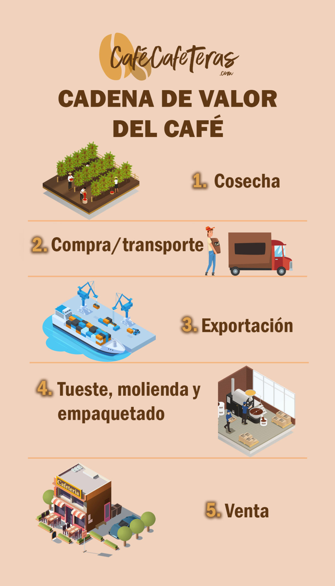 El caficultor frente al productor de café: ¿cuál es la diferencia ...