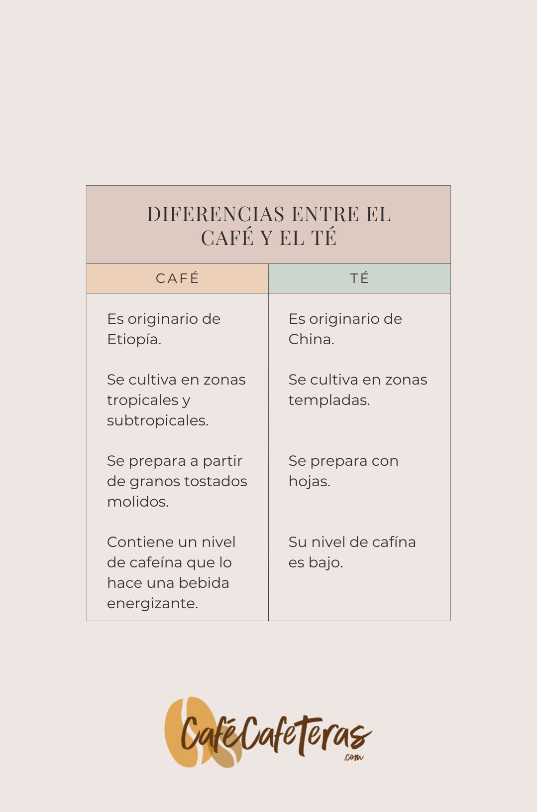 ¿Cuáles son las diferencias y similitudes entre café y té? - CaféCafeteras