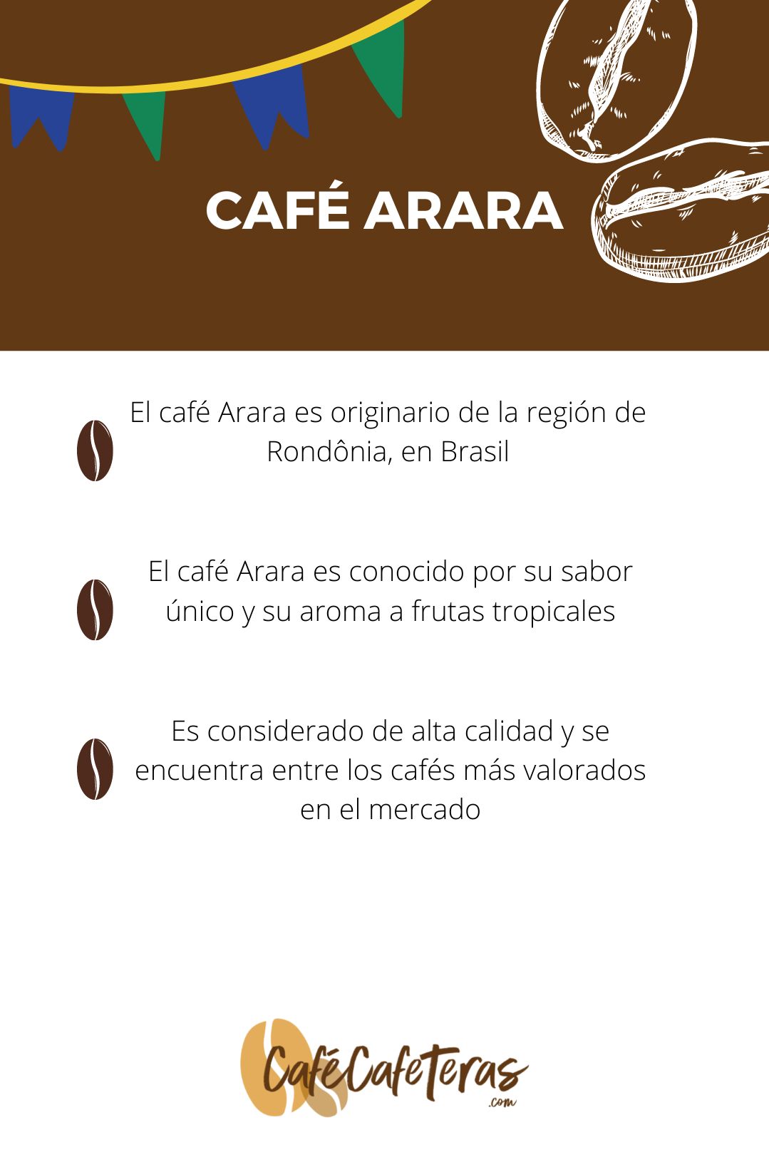 Todo lo que se debes saber sobre el Café Arara - CaféCafeteras
