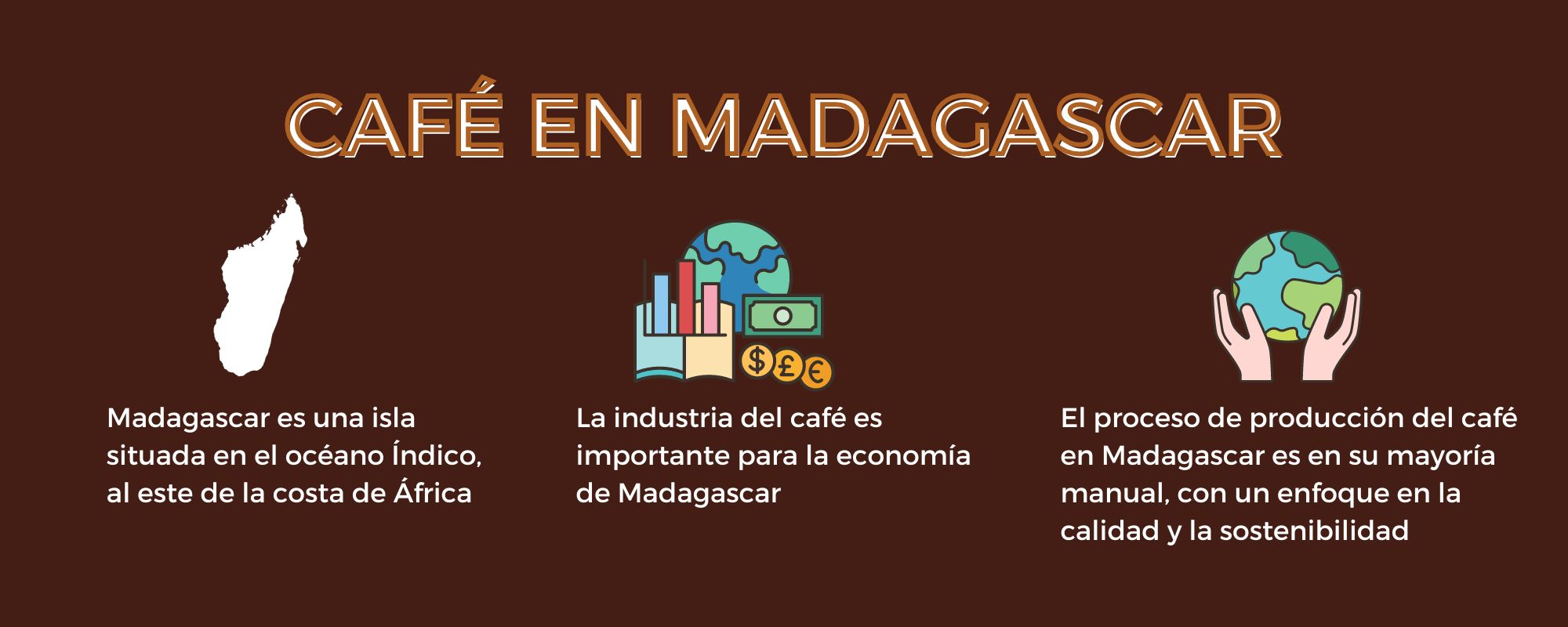 La guía sobre el Café de Madagascar - CaféCafeteras