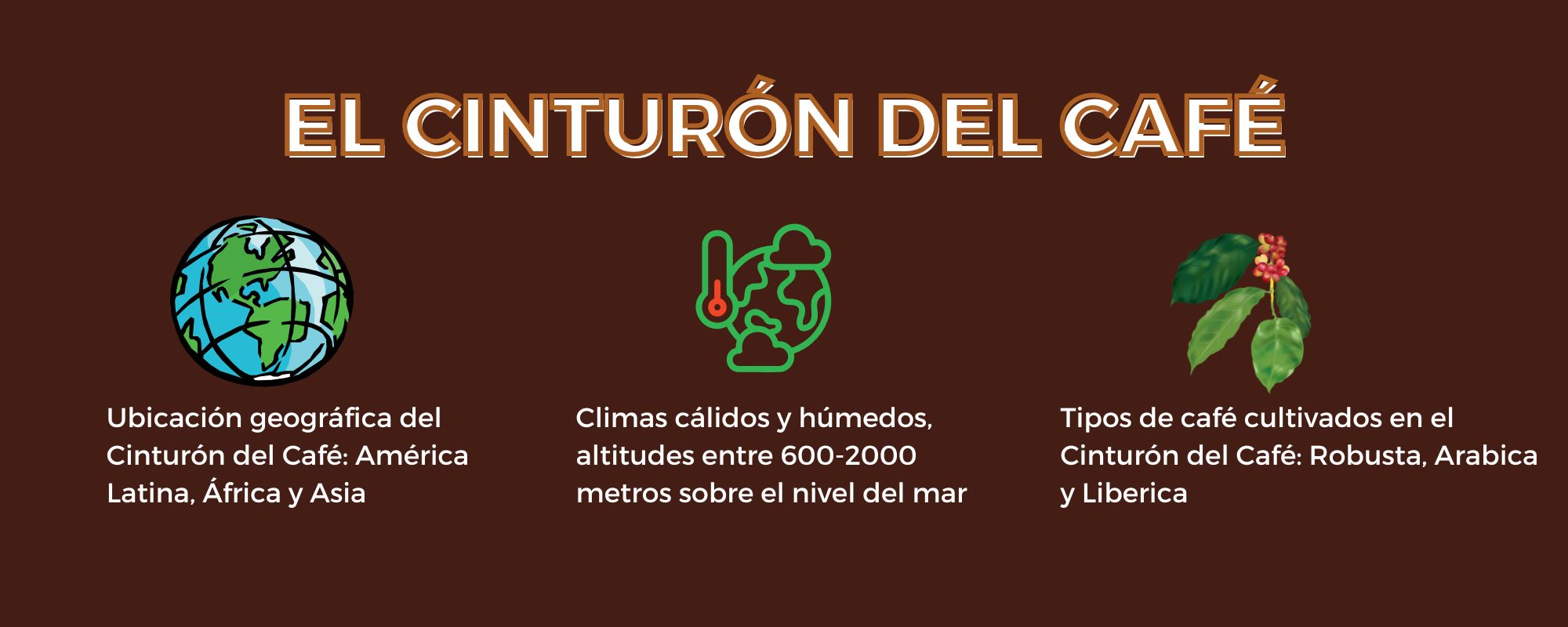 ¿Qué es el Cinturón del Café y por qué es importante? - CaféCafeteras